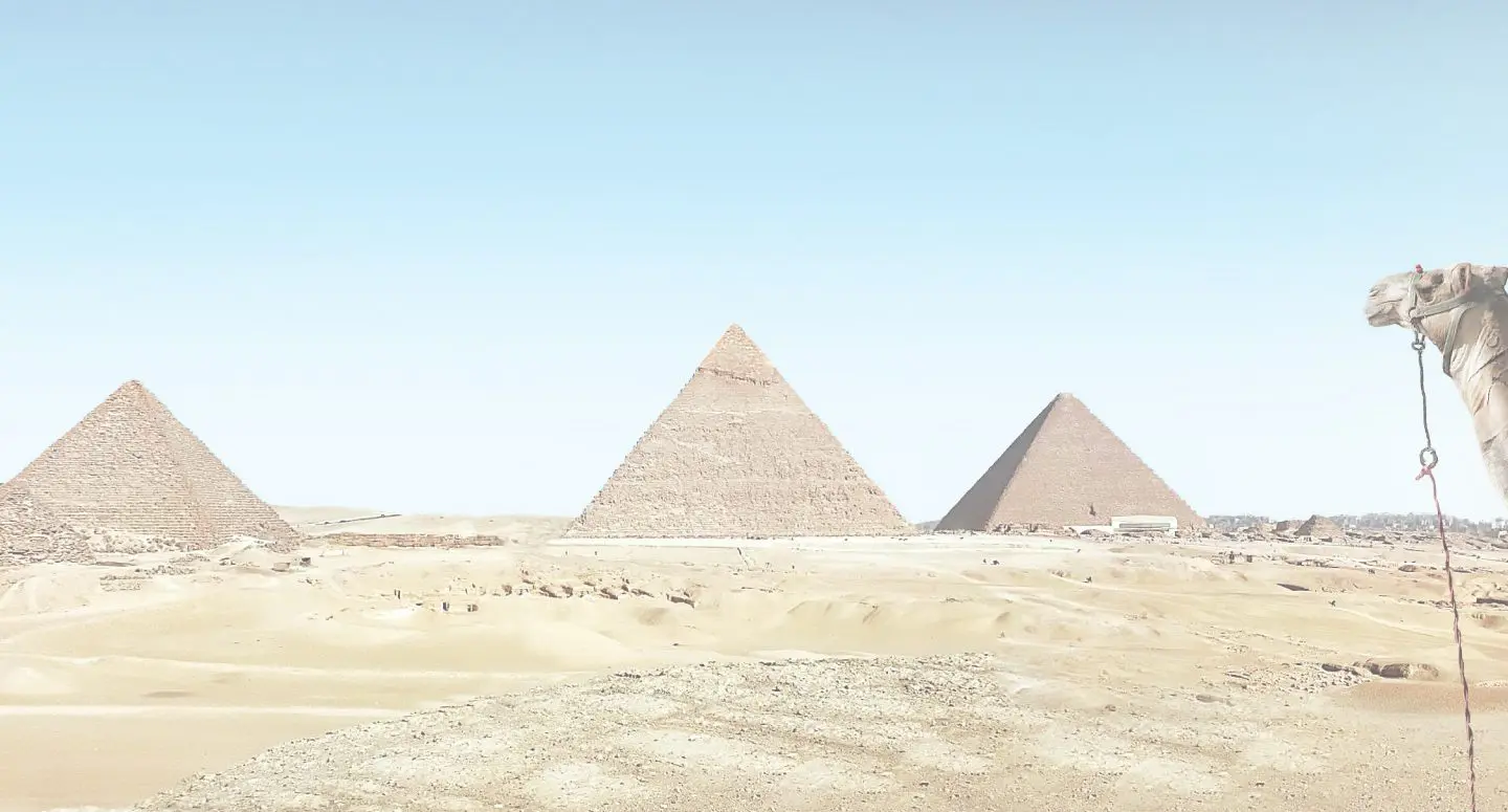 Egypt e-Visa - Apply for Electronic visa online via Application form